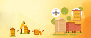 GoBuzzr - Smart Beehive Monitoring System | Smart Beehive Monitoring