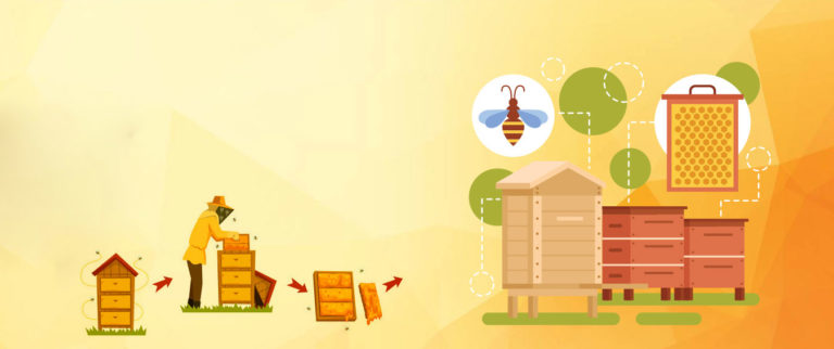 GoBuzzr - Smart Beehive Monitoring System | Smart Beehive Monitoring